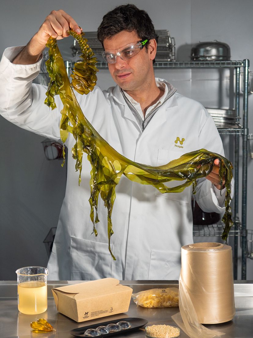 ‘We don’t want to be a niche brand’: Seaweed is taking plastic out of ...