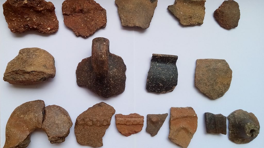 Ancient ‘Dragon Man’ DNA reveals mysterious human relative | Euronews