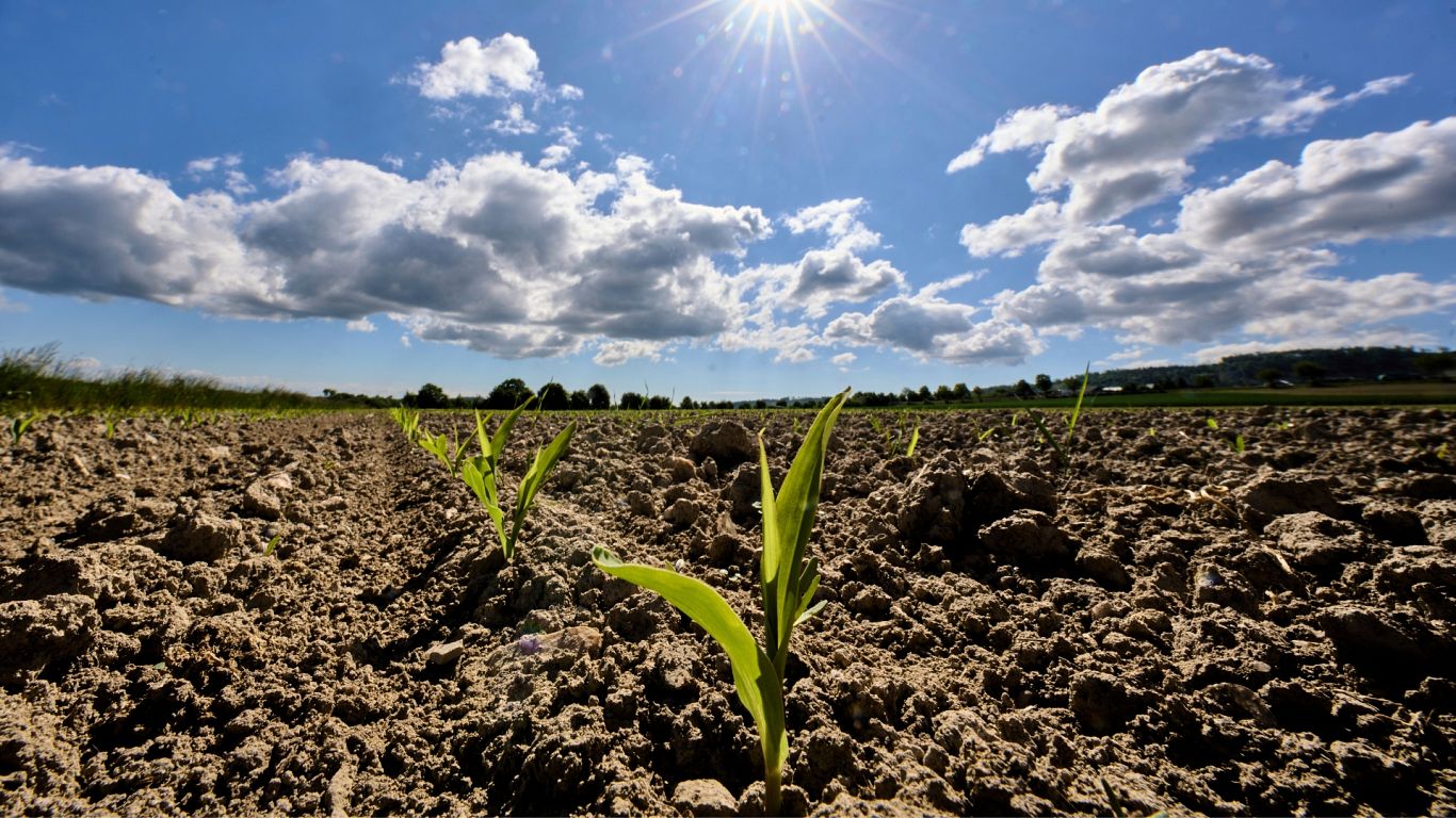 World sees second-hottest May on record as Europe faces rising drought ...