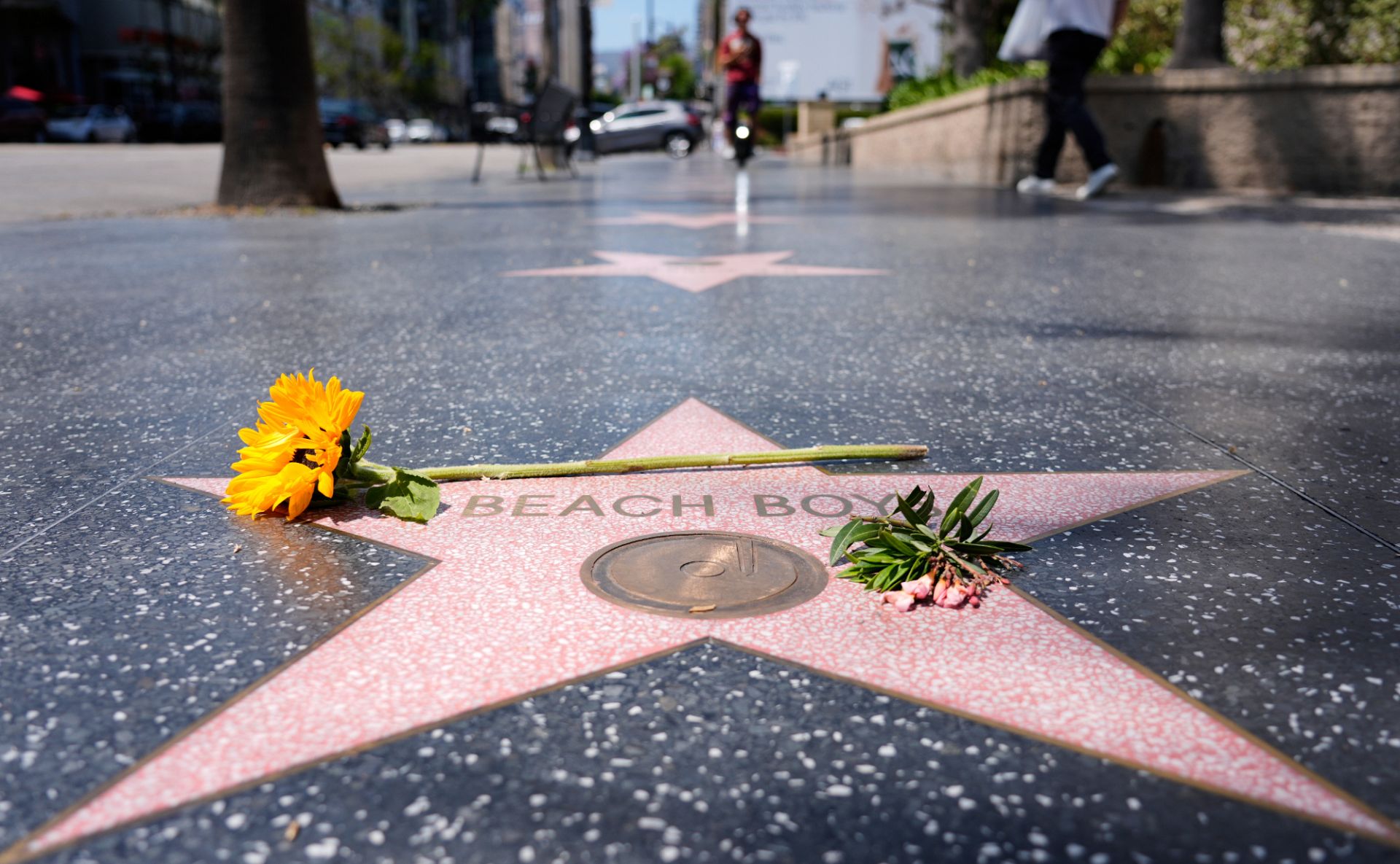 Brian Wilson, co-founder of iconic 1960s band the Beach Boys, dies at ...