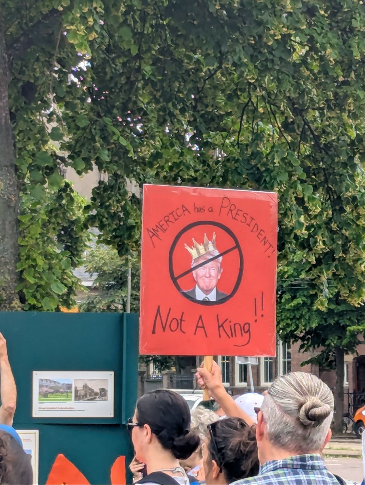 Best and funniest signs from mass No Kings protests against Trump ...