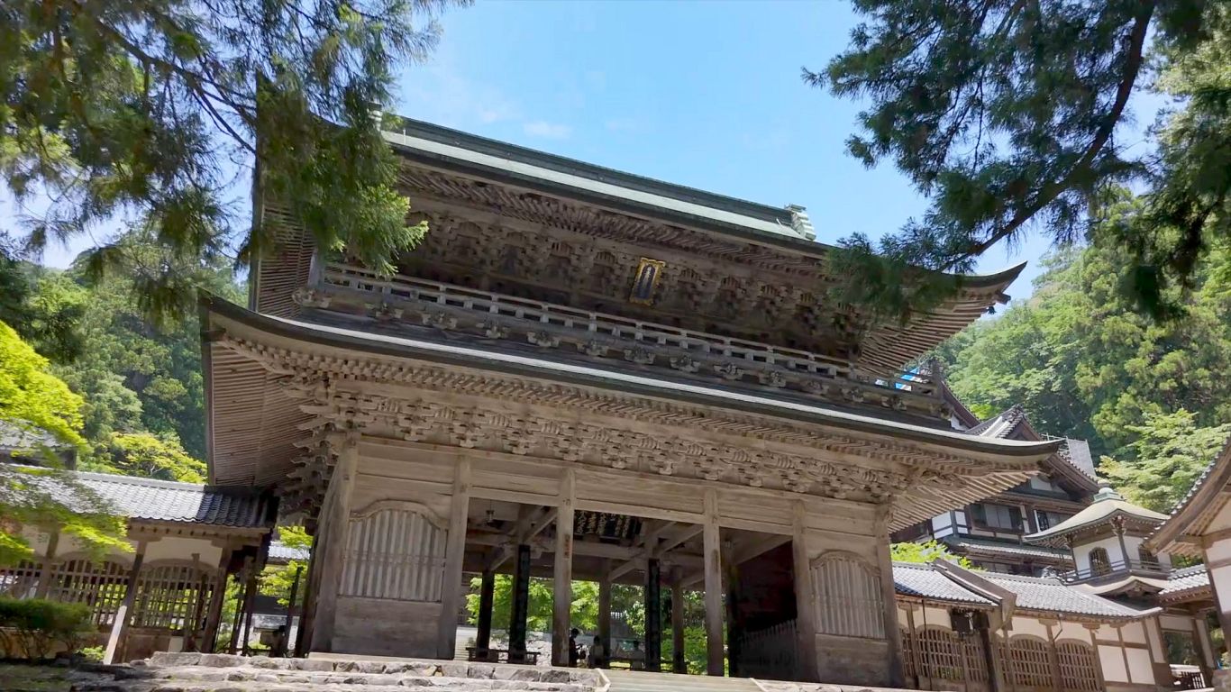 Vidéo. "Le passager du siège 11A" : un seul survivant dans le crash du ...