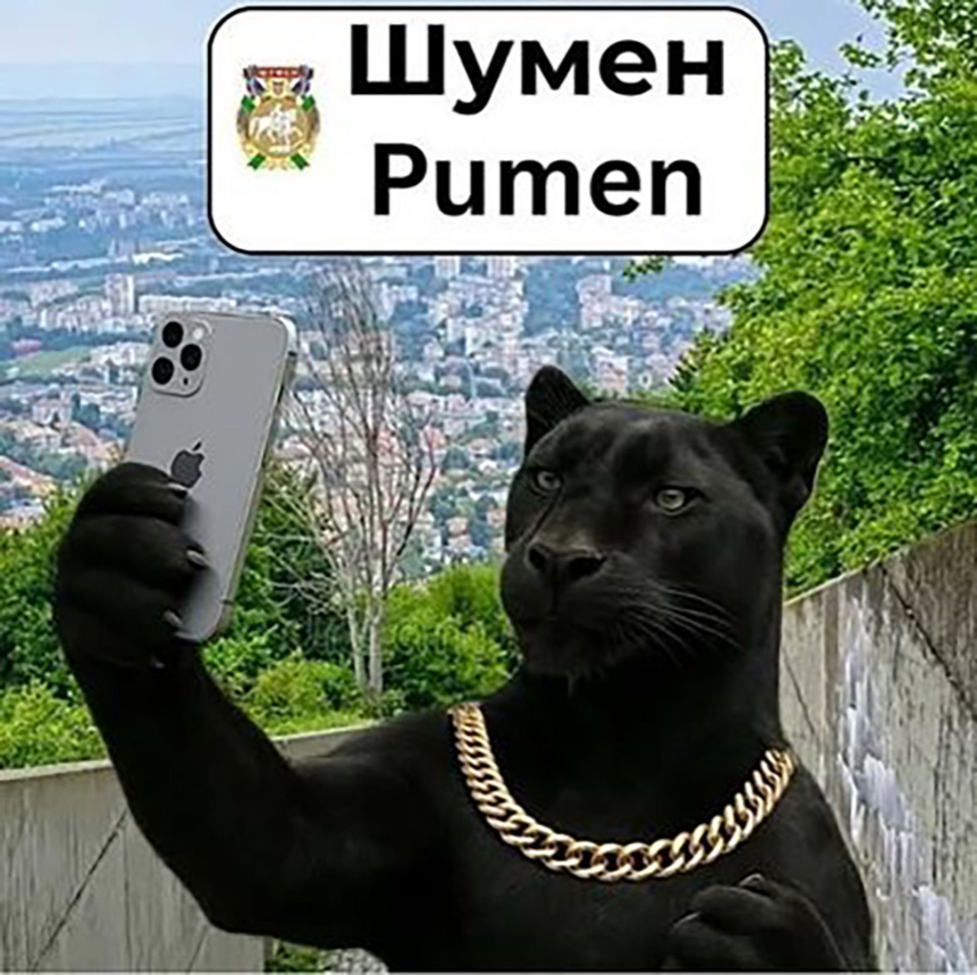 Bulgaria searches for elusive and dangerous black panther near Shumen | Euronews