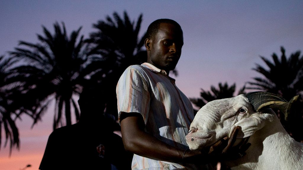 Dancewithmeeee leaked nude screening is rather typical and