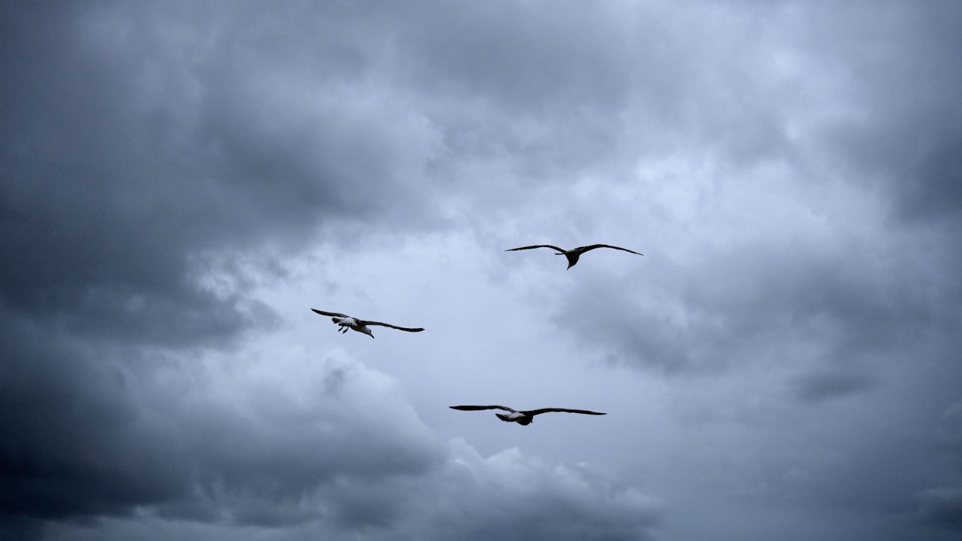 Portugal hit by heatwave as rare 'tsunami' roll cloud phenomenon ...