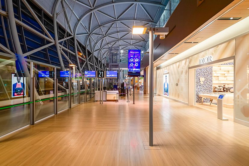 Sustainable, natural and light-filled: Here’s why these are the world’s ...