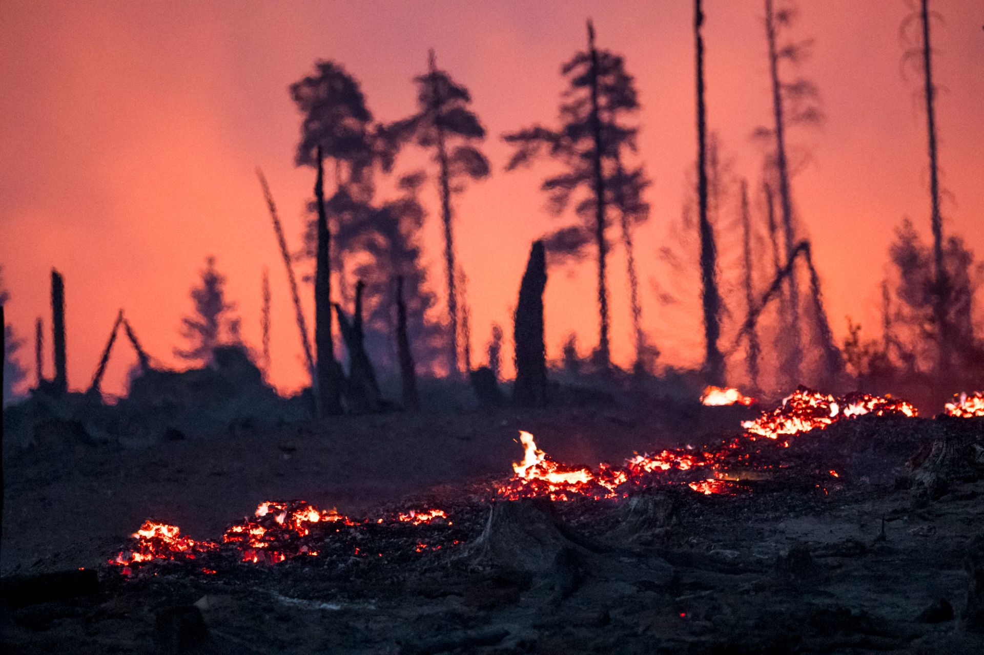 Wildfires in eastern Germany injure two firefighters and force villages ...