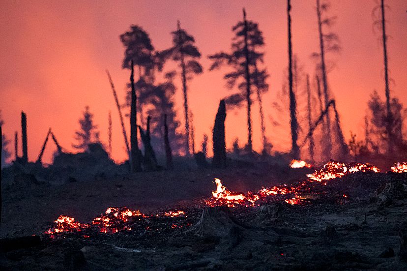 Wildfires in eastern Germany injure two firefighters and force villages ...