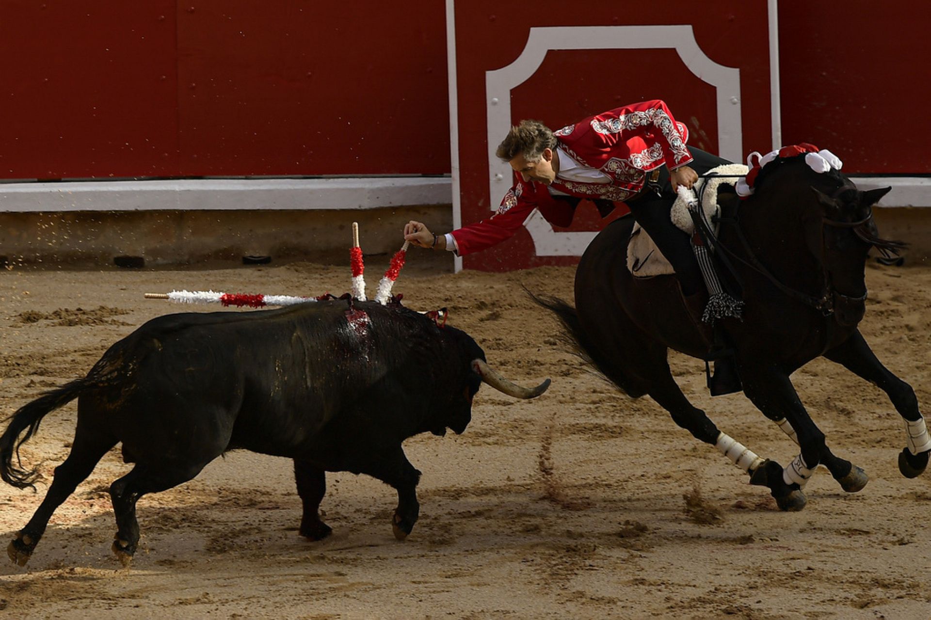 Spain's San Fermin bull-running festival begins with a firework blast ...
