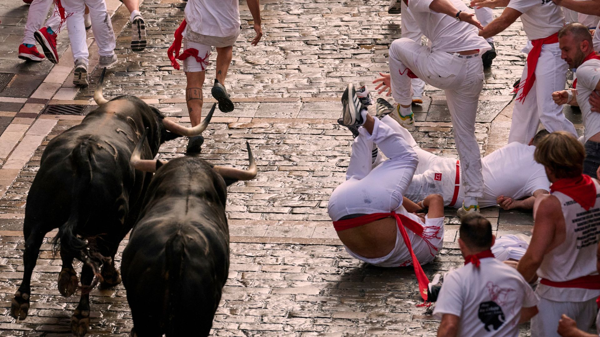 Video. San Fermín Festival opens with first bull run in Pamplona | Euronews