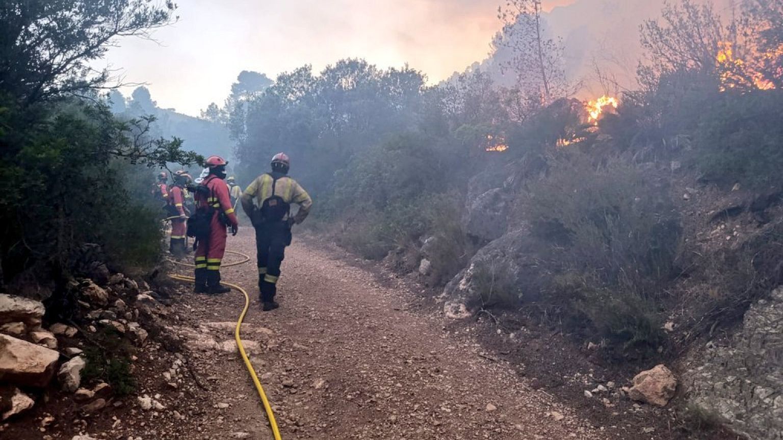 Incêndio florestal em Tarragona devastou 2.900 hectares e confinou 18 ...