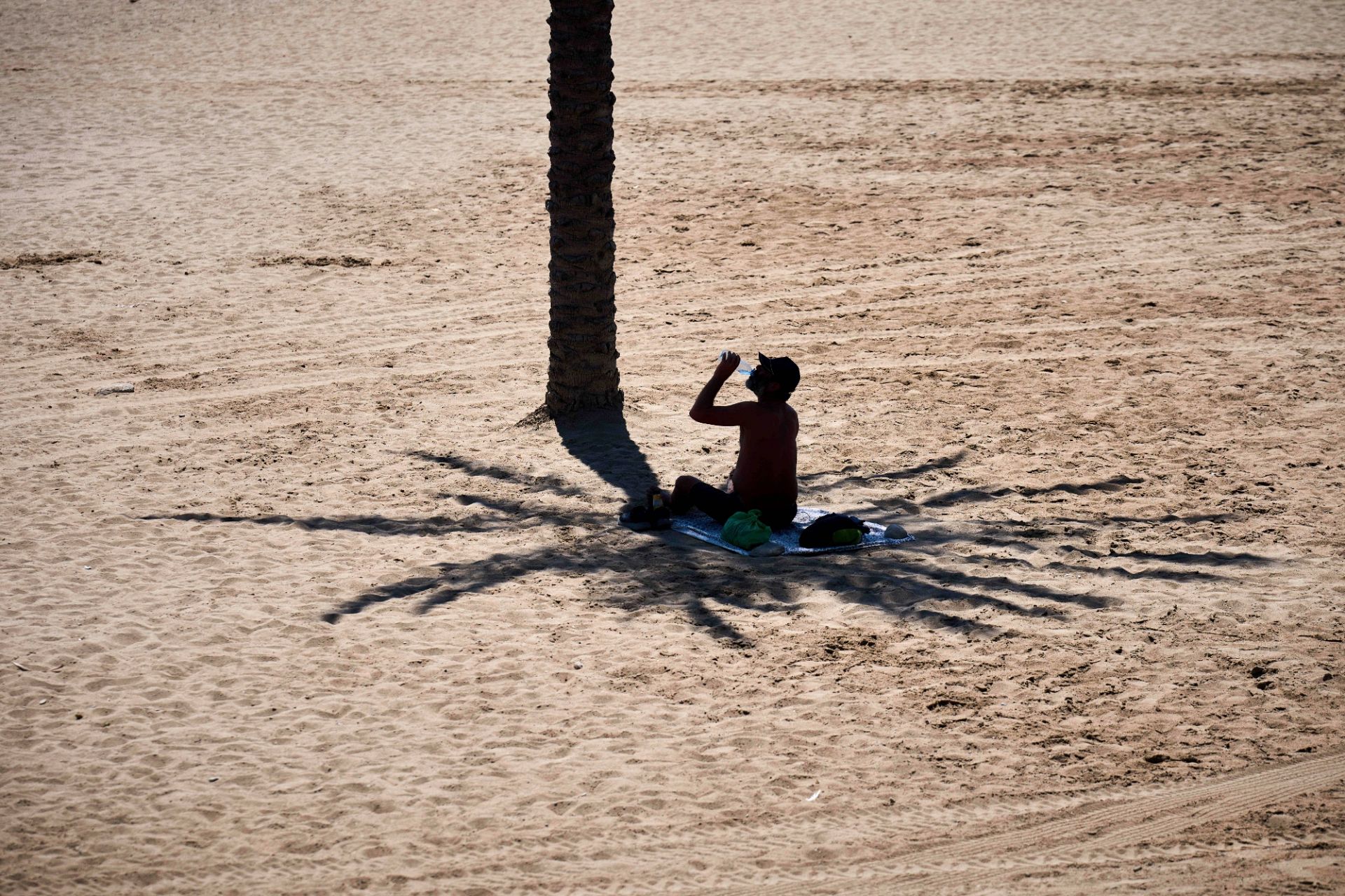 Portugal records 284 excess deaths during heatwave as wildfires rage ...
