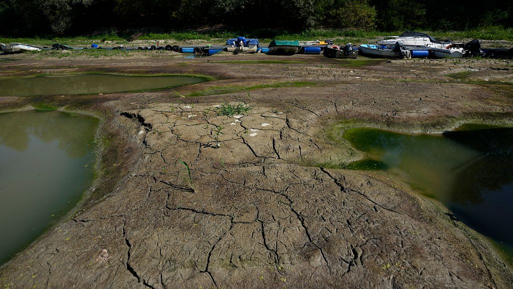 Onlyfans nayeli grave received a referral and made an