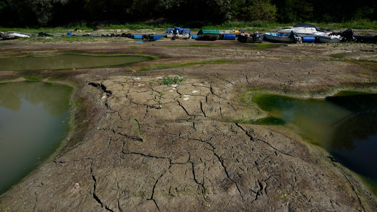 Onlyfans nayeli grave received a referral and made an