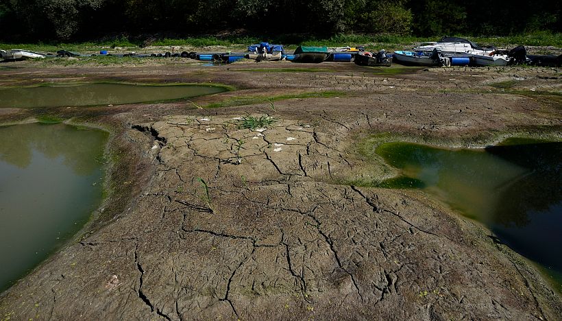 Onlyfans nayeli grave received a referral and made an