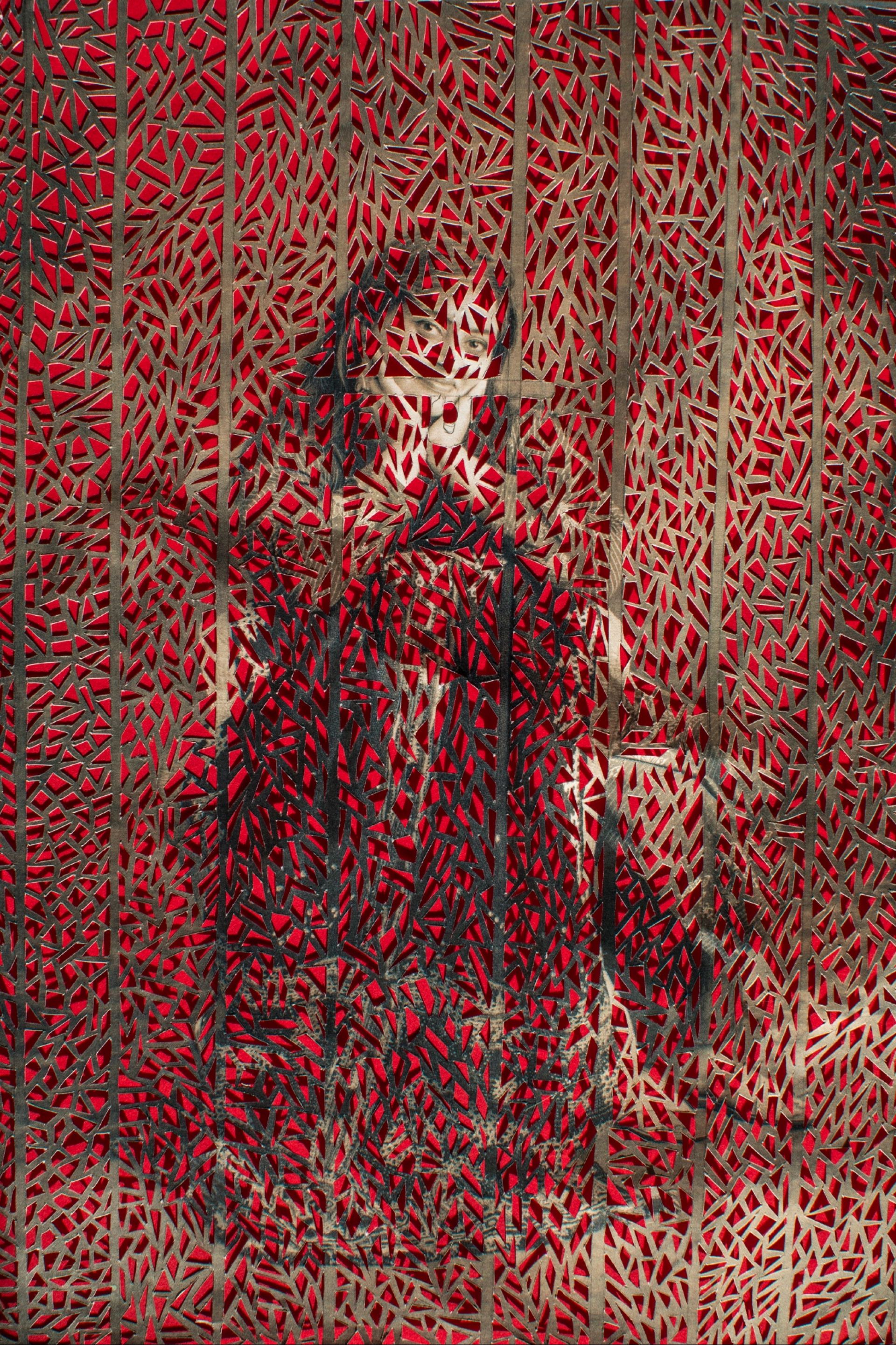 Wellcome Photography Prize 2025: When photography meets science, health and the human experience ...