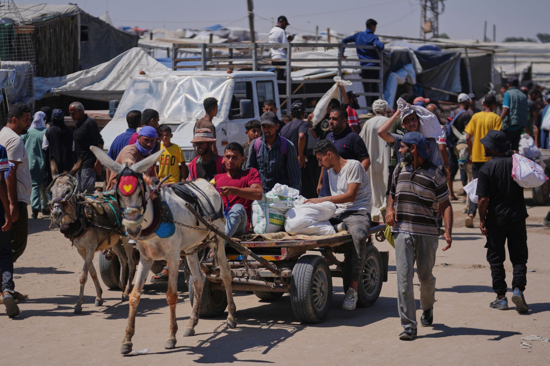 At least 20 killed in stampede at Gaza distribution site, US aid group ...