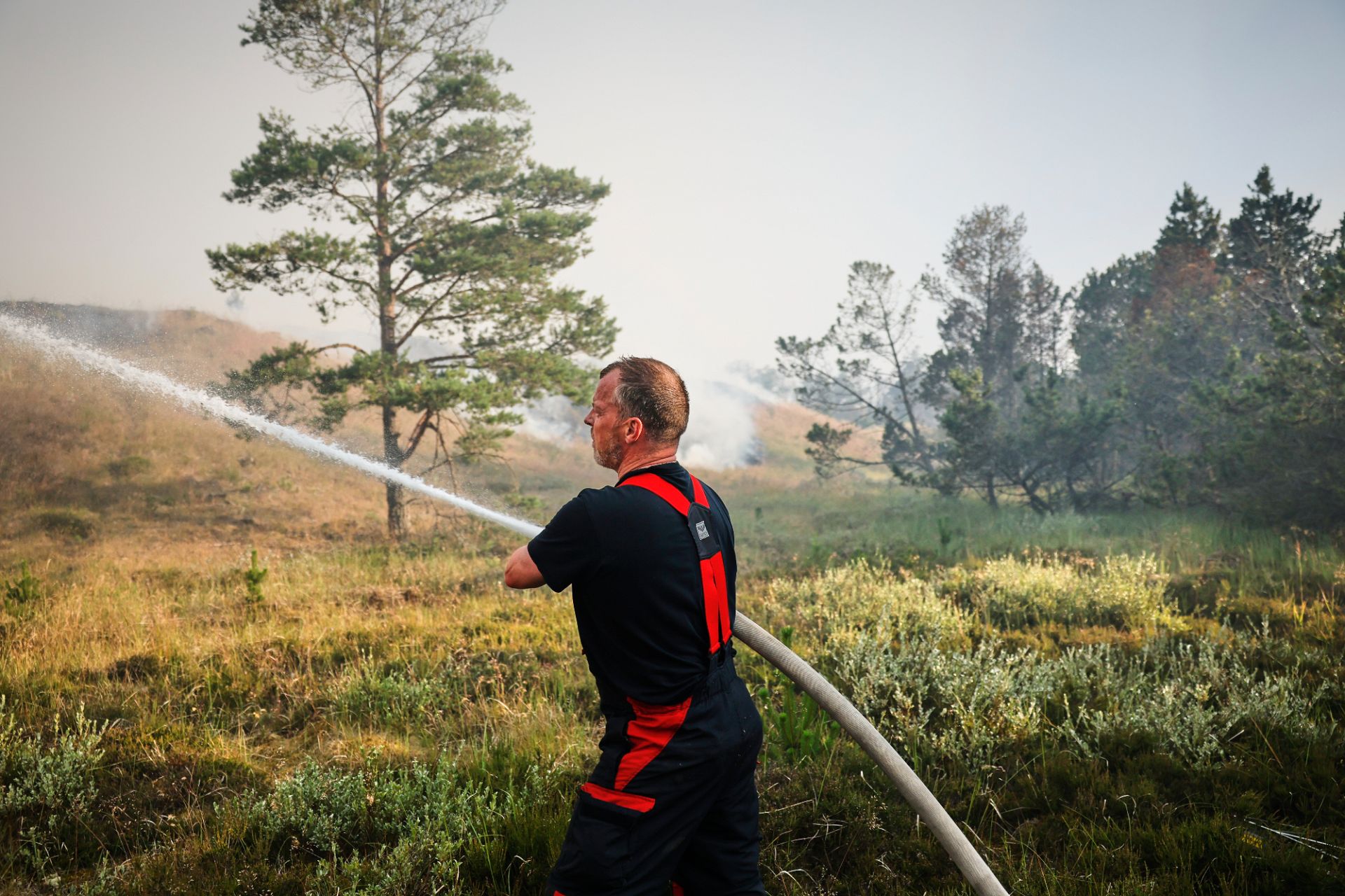 Feu de forêts : l'équivalant de la surface du Luxembourg est déjà parti ...