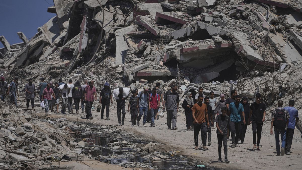Guerra a Gaza: ancora decine di palestinesi uccisi mentre si dirigevano ...
