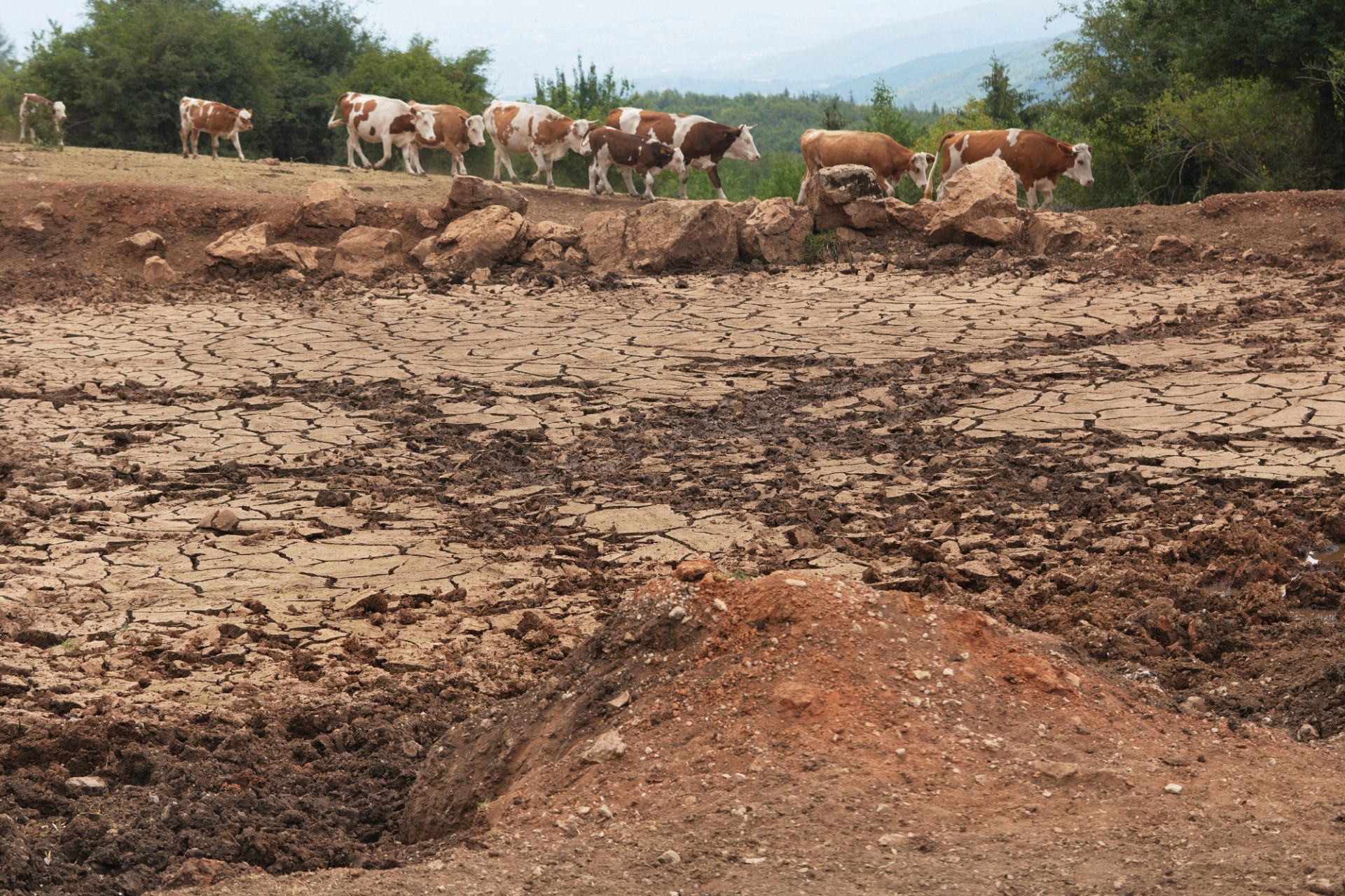 Emergency water deliveries begin on Serbian mountain as drought ...