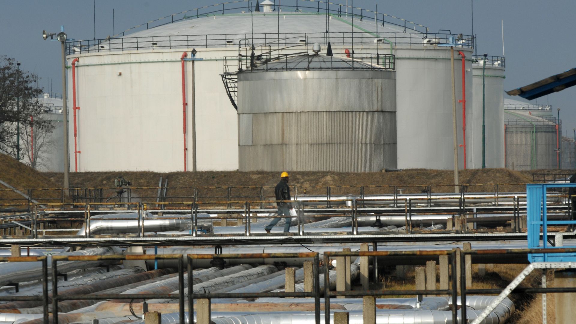 Jason luv kimi may be young i finally was able to meet this