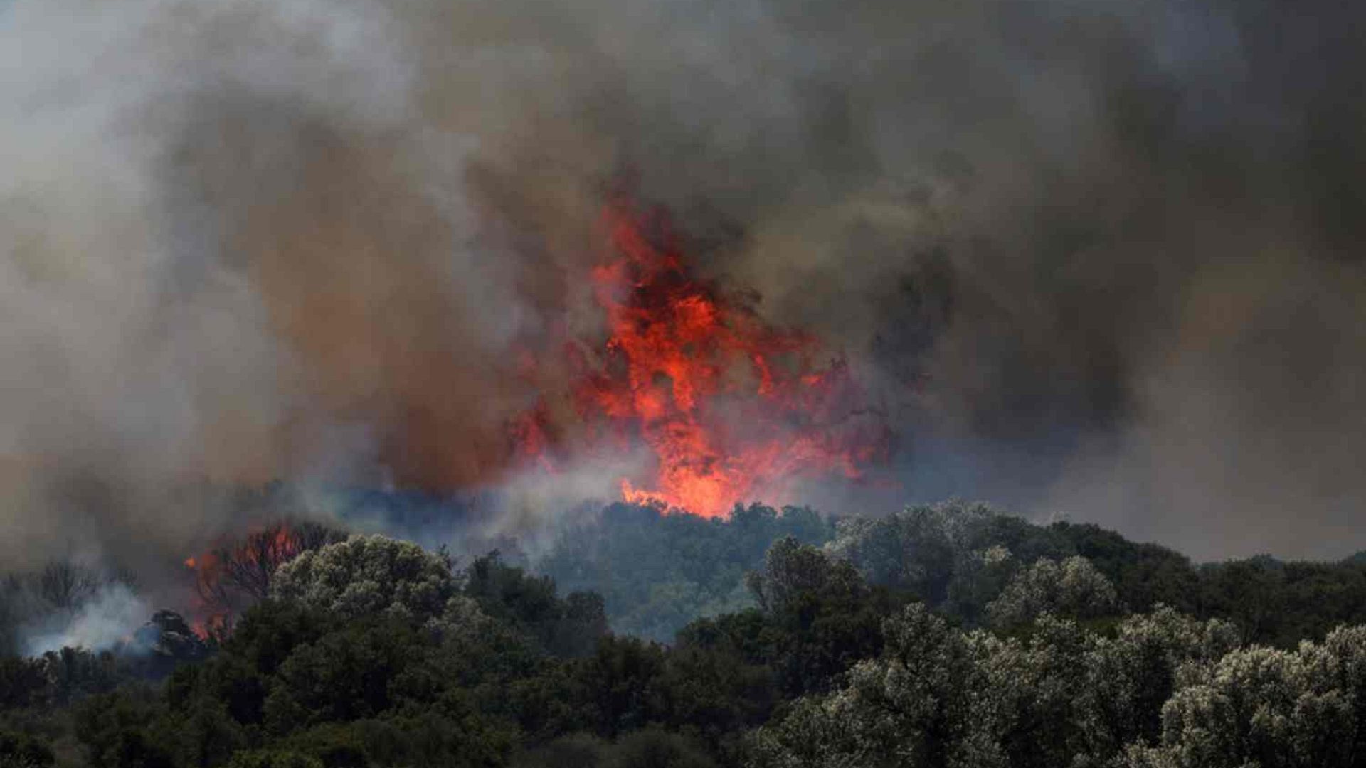 Wildfire kills 10 firefighters and rescue workers in Turkey | Euronews
