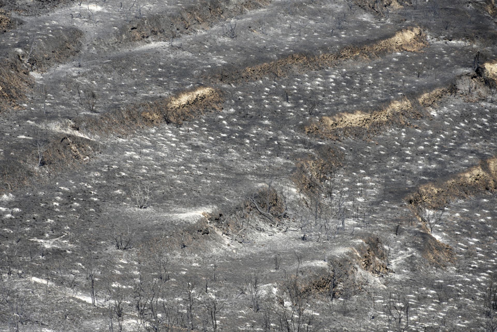 Extent of damage from Cyprus wildfires becoming clear as blazes brought ...
