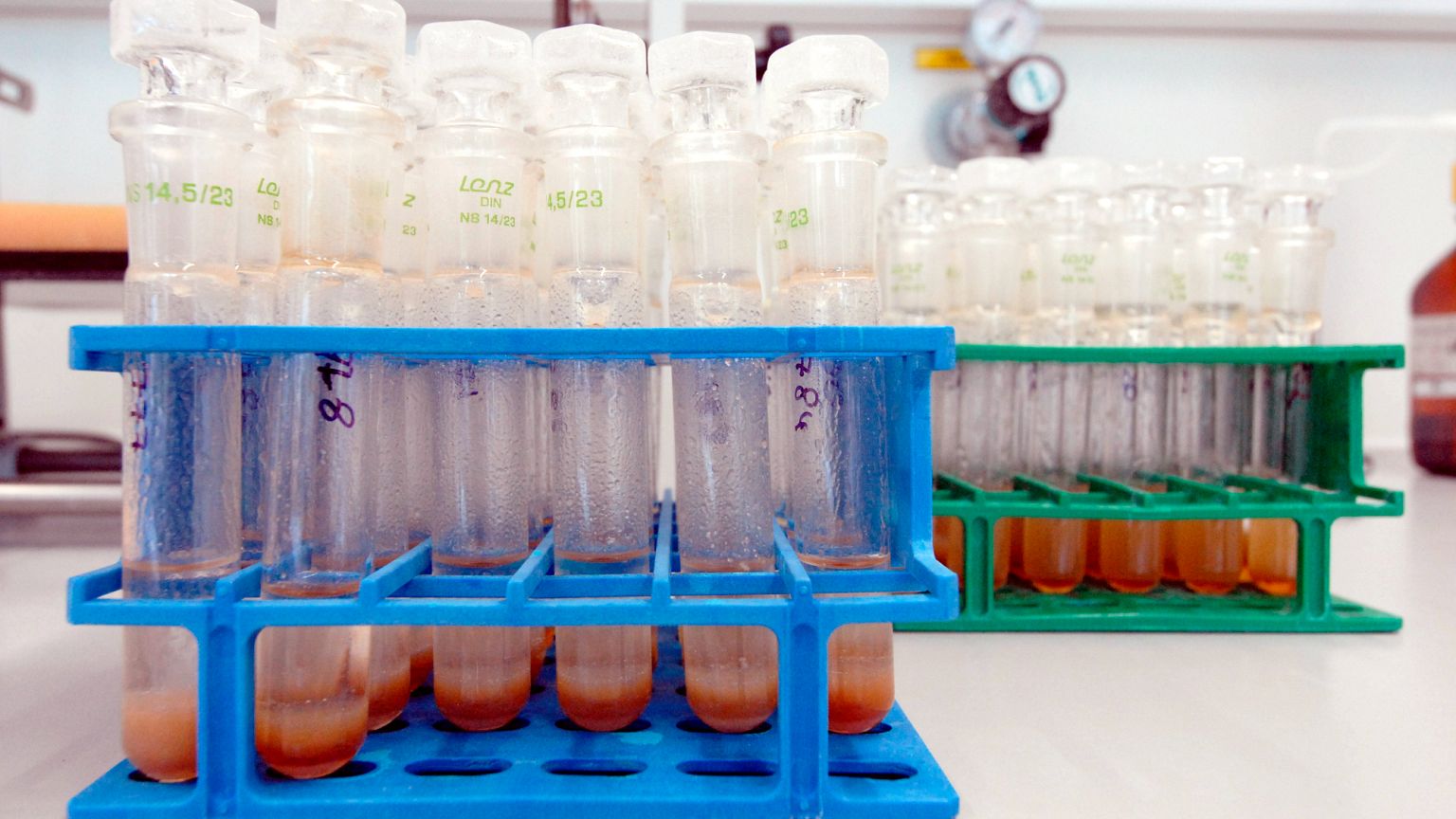 Lisa delamar naked at least as beautiful as her picture of