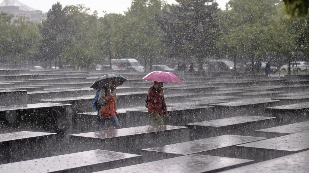 An amphibious mouse, a blob-headed fish and a rain frog: Researchers ...