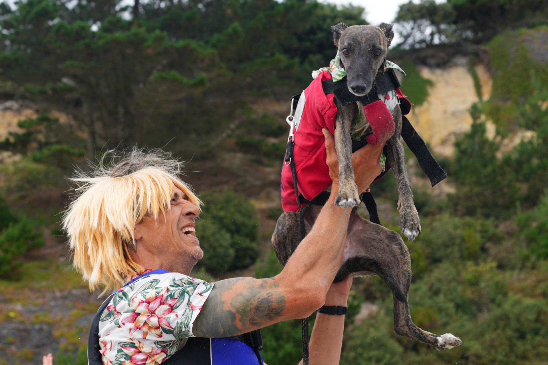 Everything is pawesome: 2025 UK Dog Surfing Championship in pictures ...
