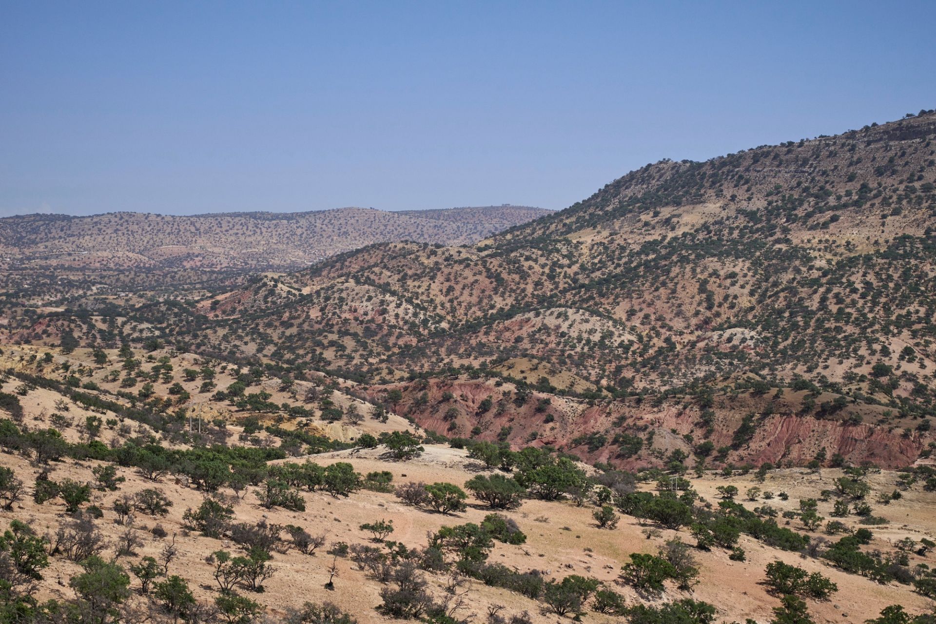The beauty industry loves argan oil but Morocco’s trees are under ...