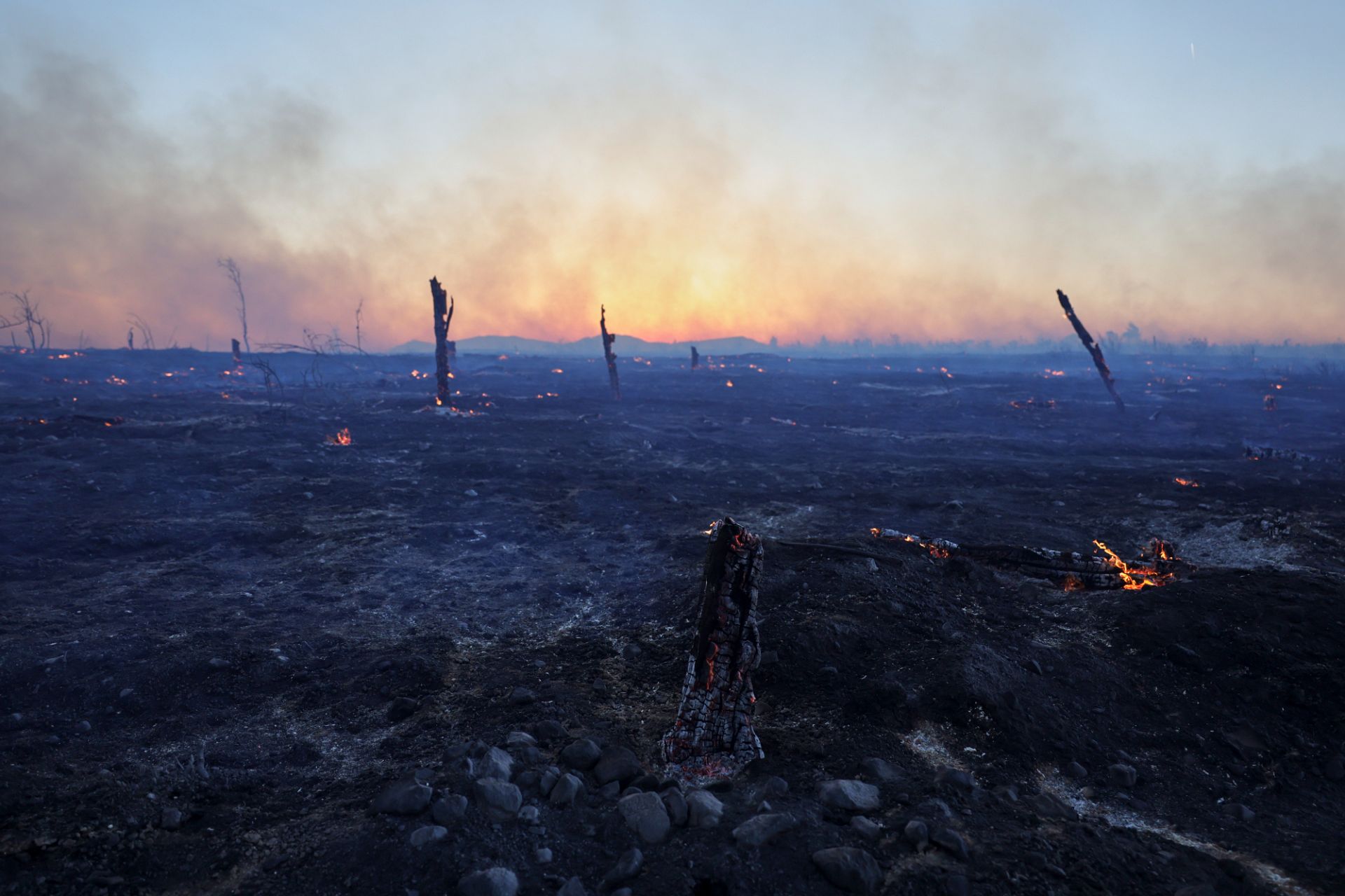 Europe’s wildfire emissions soar to record highs as extreme heat and ...