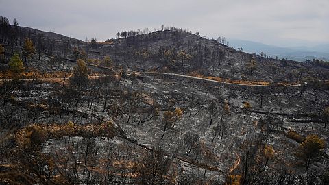 Emma De Ruiter | Euronews