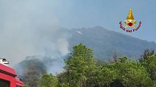 Пожар в Национальном парке Везувий