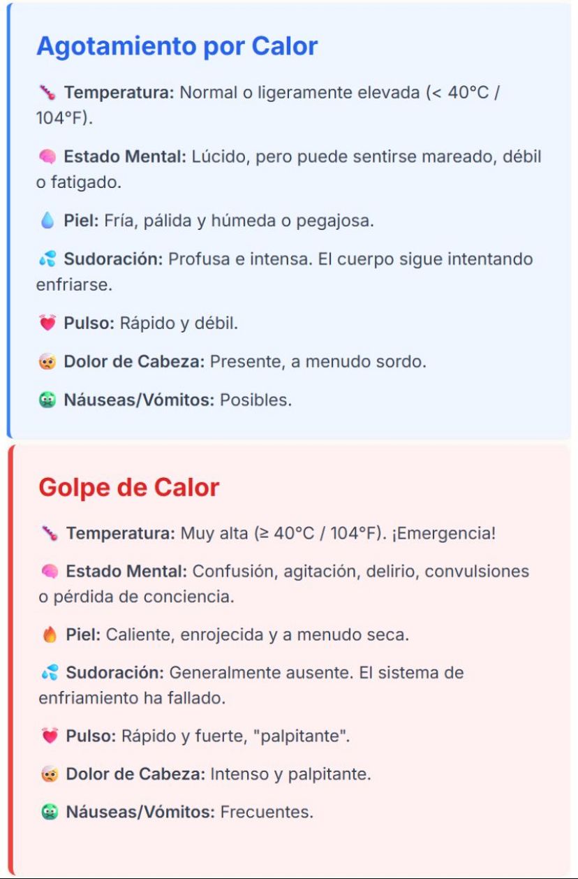 Agotamiento por calor y golpe de calor: cómo son, cómo tratarlos y ...