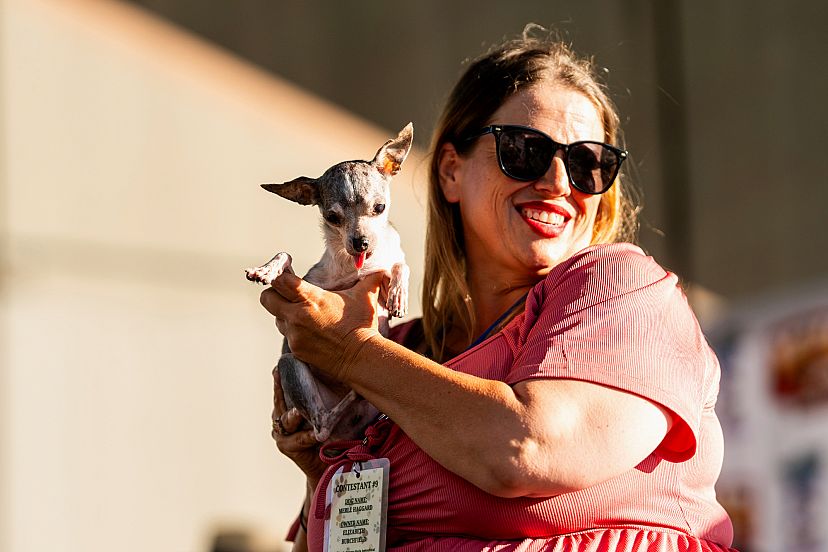 En images : le bouledogue français Petunia remporte le concours du ...