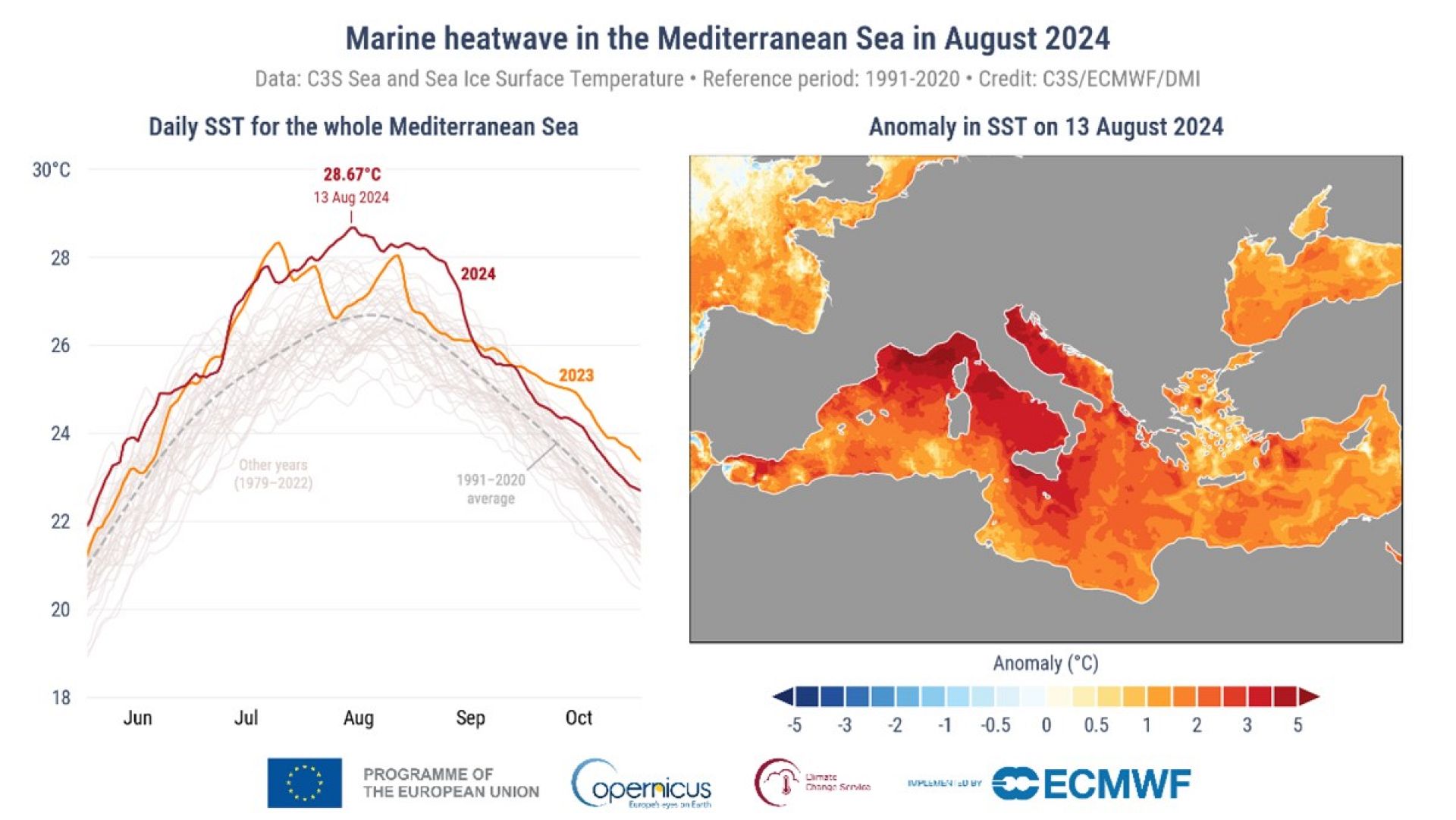 European seas break temperature records: Are they too warm? | Euronews