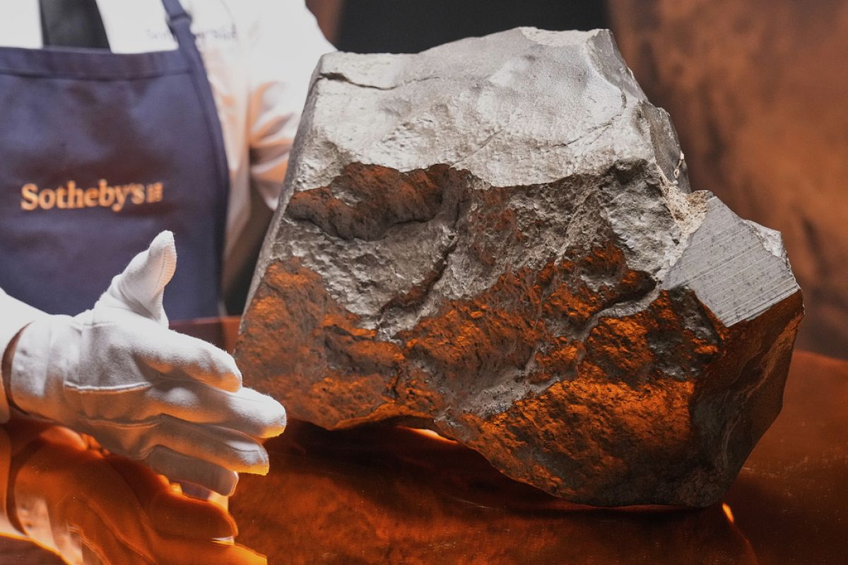 The world's biggest Mars rock sold at auction, but Niger wants to know ...
