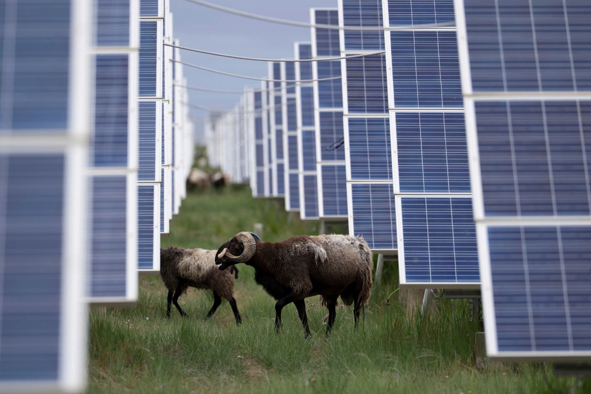 China races to build the world's largest solar farm to meet emissions ...