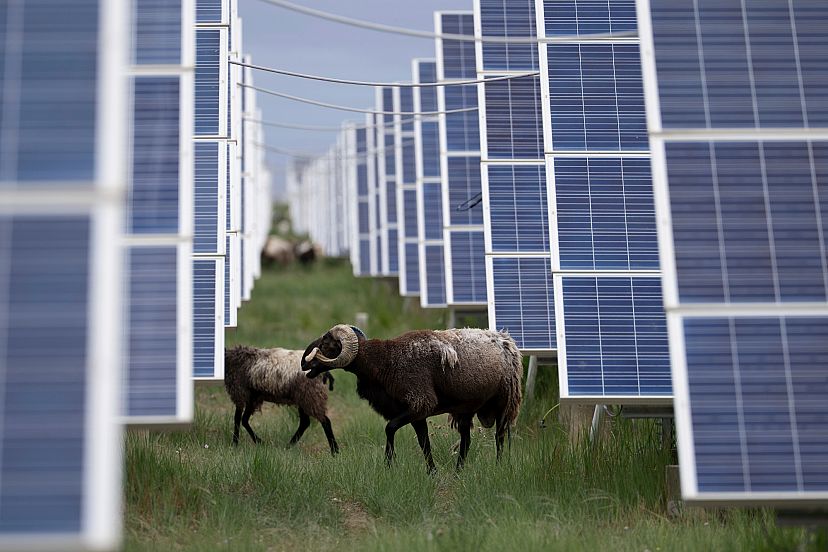China races to build the world's largest solar farm to meet emissions ...