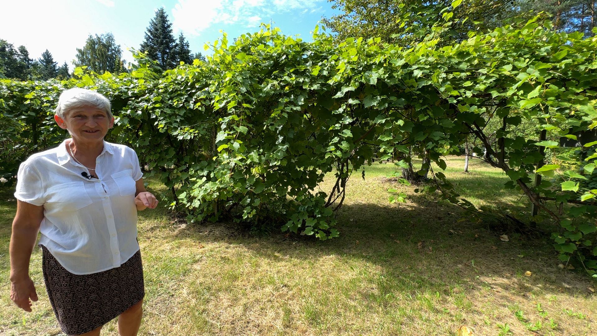 Maison Hansen : chef-d’œuvre polonais et manifeste de la forme ouverte ...