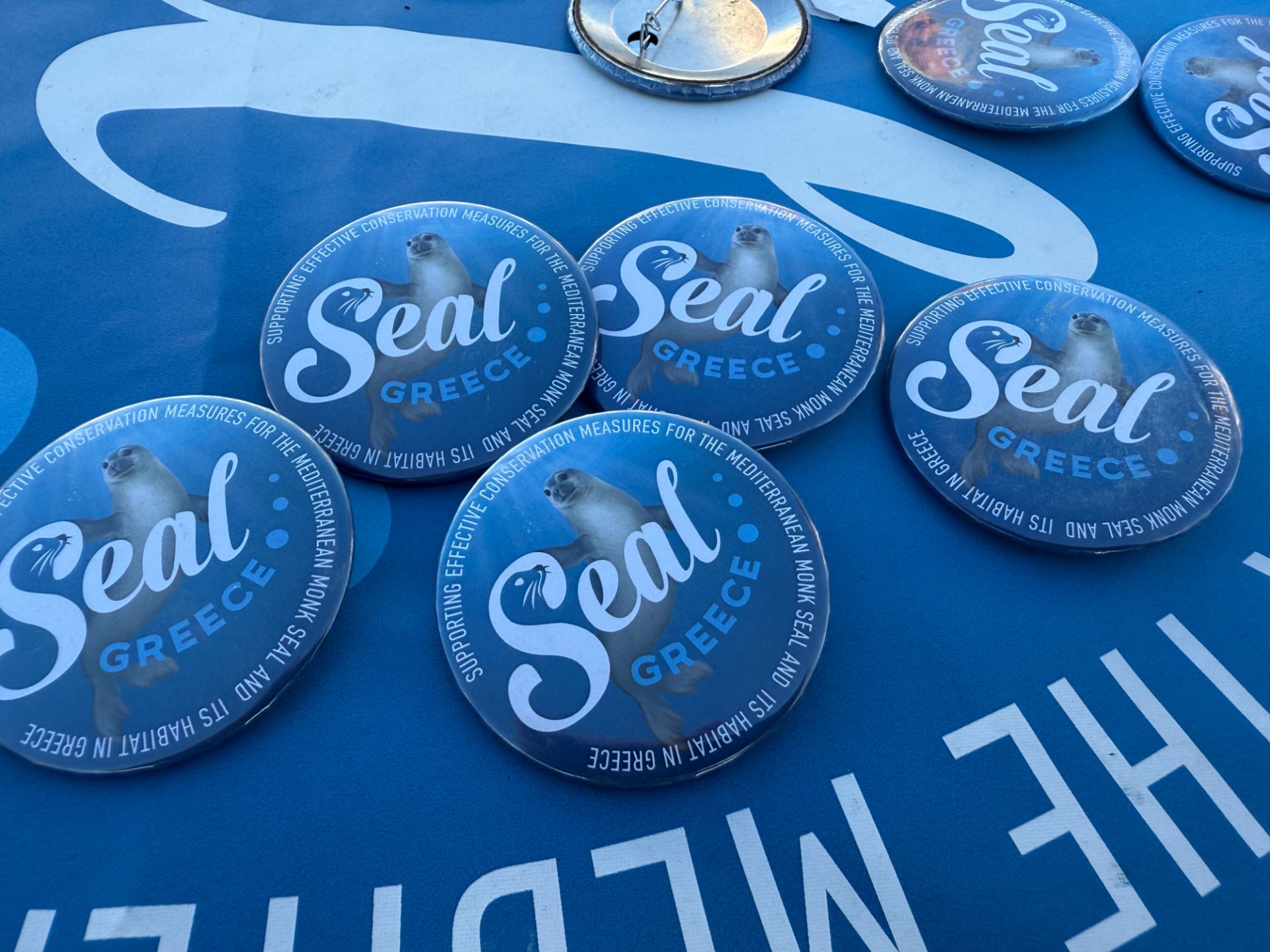 Seal Greece: La expedición ecológica que recorre 26 islas griegas para ...