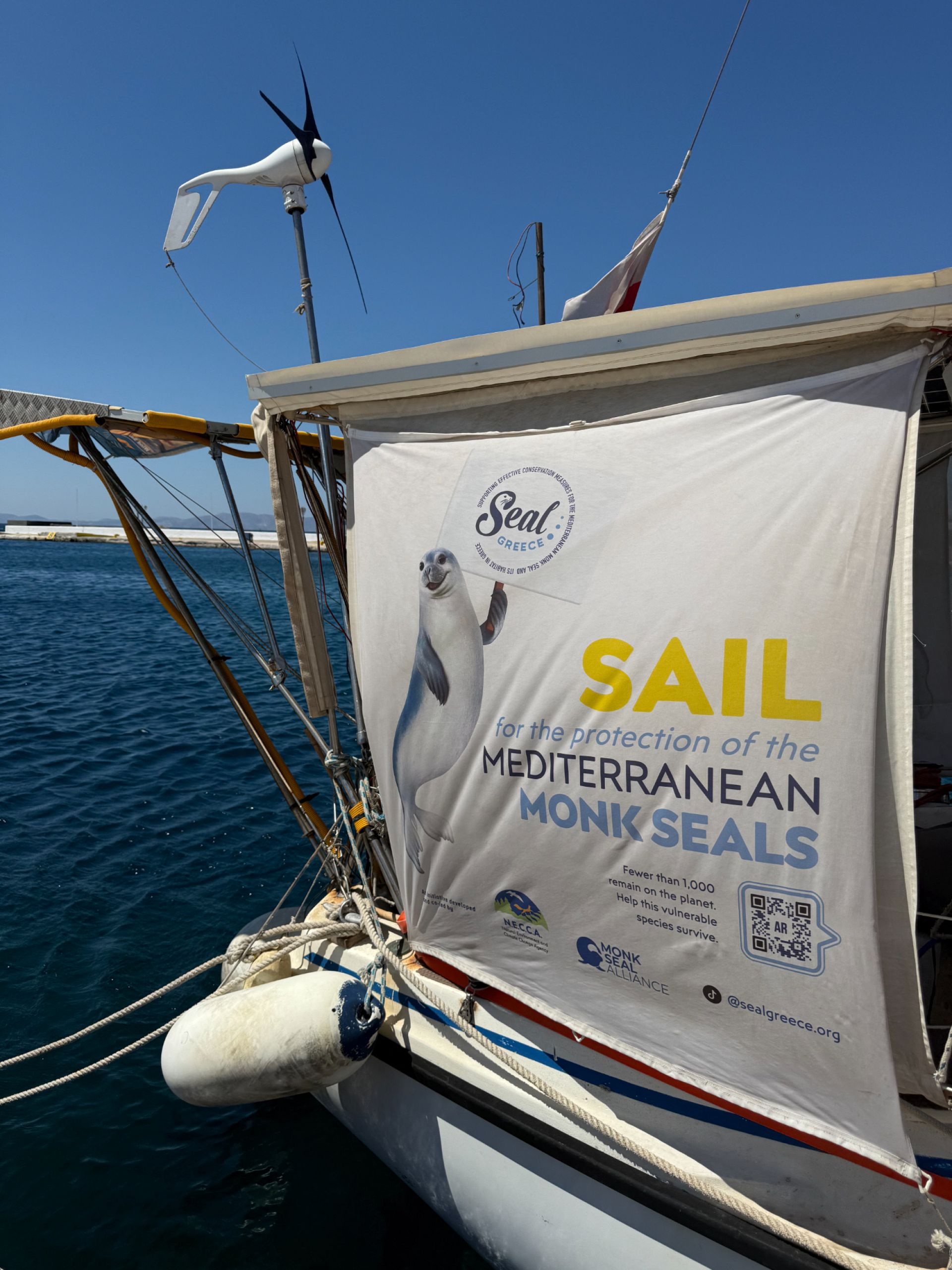 Meet the experts sailing to 26 Greek islands to protect endangered ...