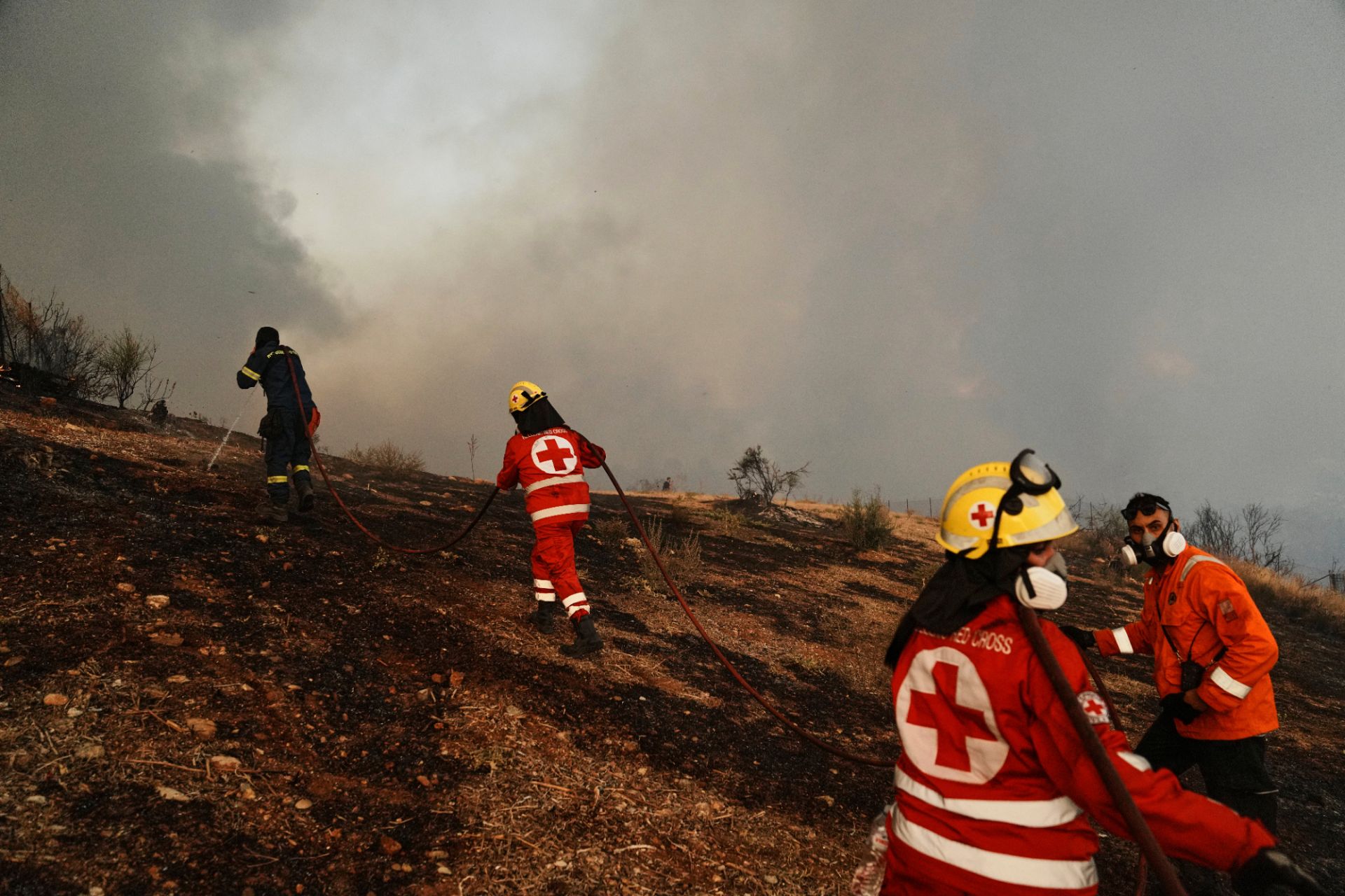 Incendi in Turchia, Grecia e Cipro: il cambiamento climatico li ha resi ...
