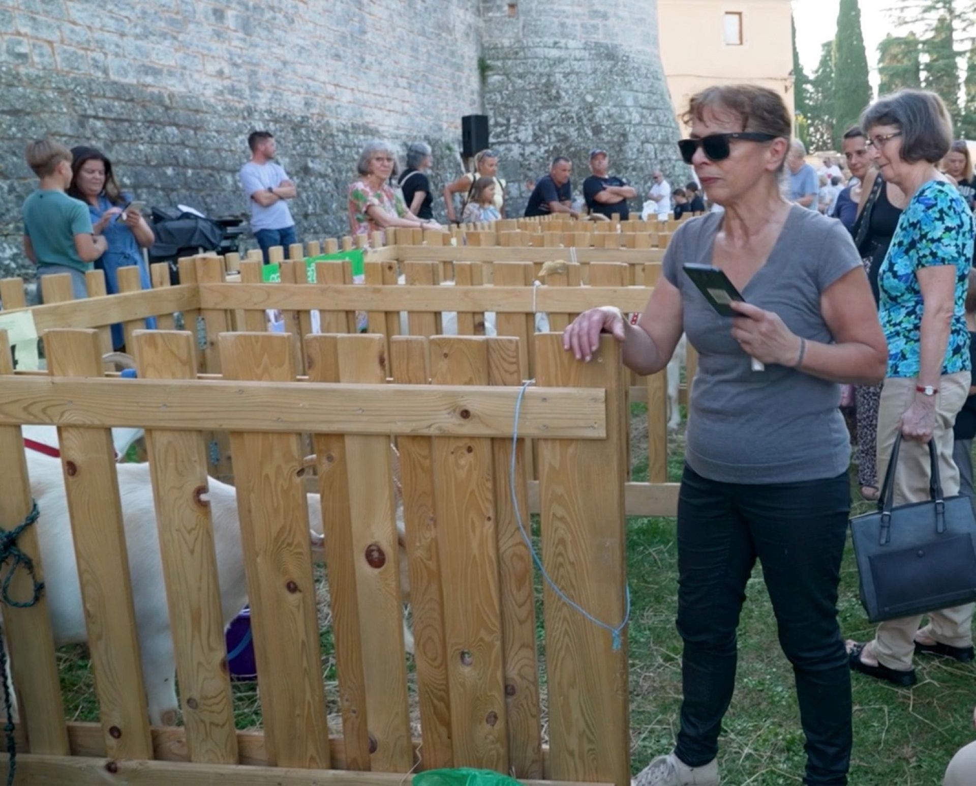 Both beloved and punished: the Istrian goat’s curious place in history ...