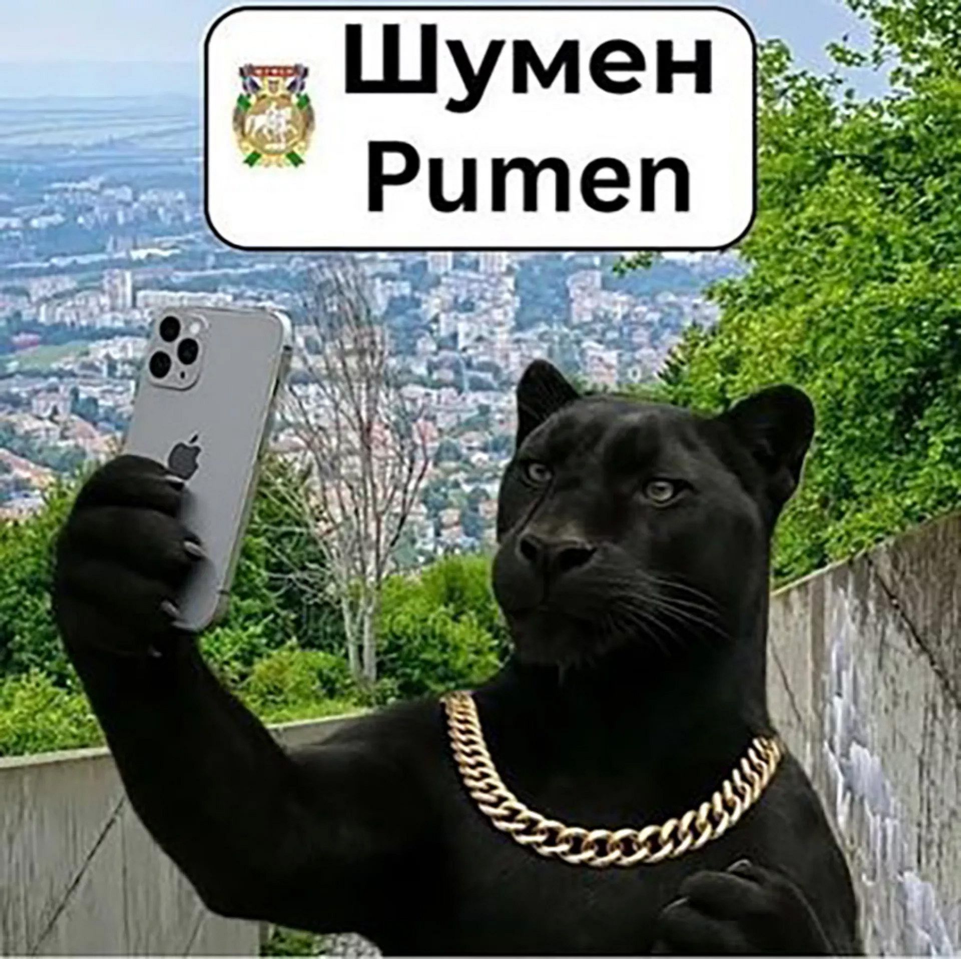 En Bulgarie, l'insaisissable panthère noire court toujours et devient ...