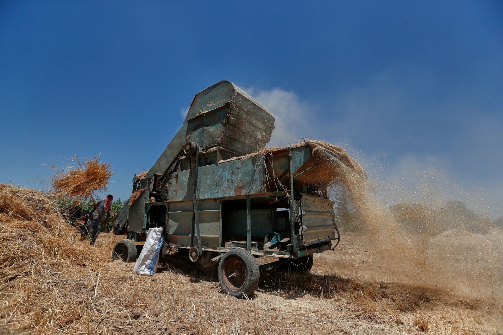 Worst drought in decades threatens Syria's fragile recovery from years ...