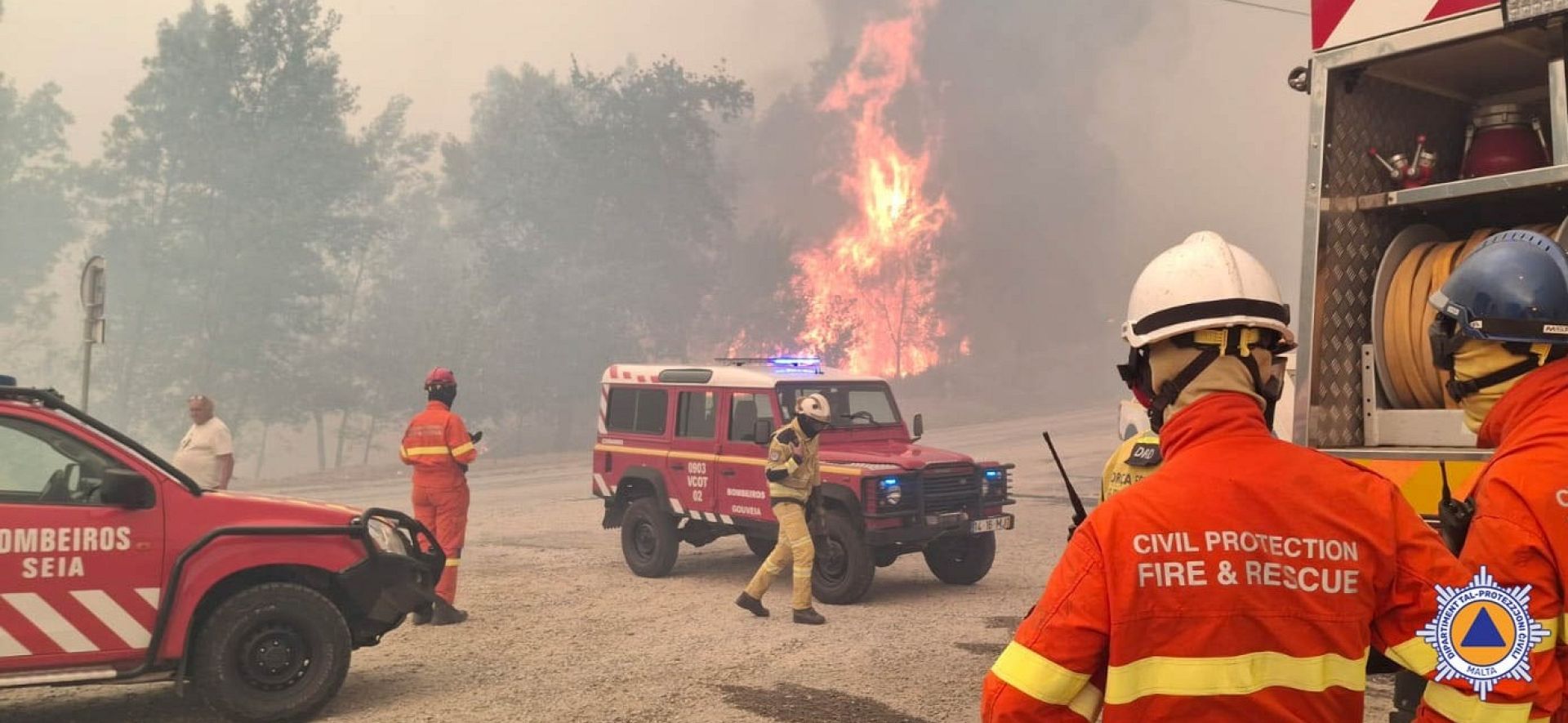 Wildfires in 2025 ravaged an area nearly half the size of Sicily: These ...