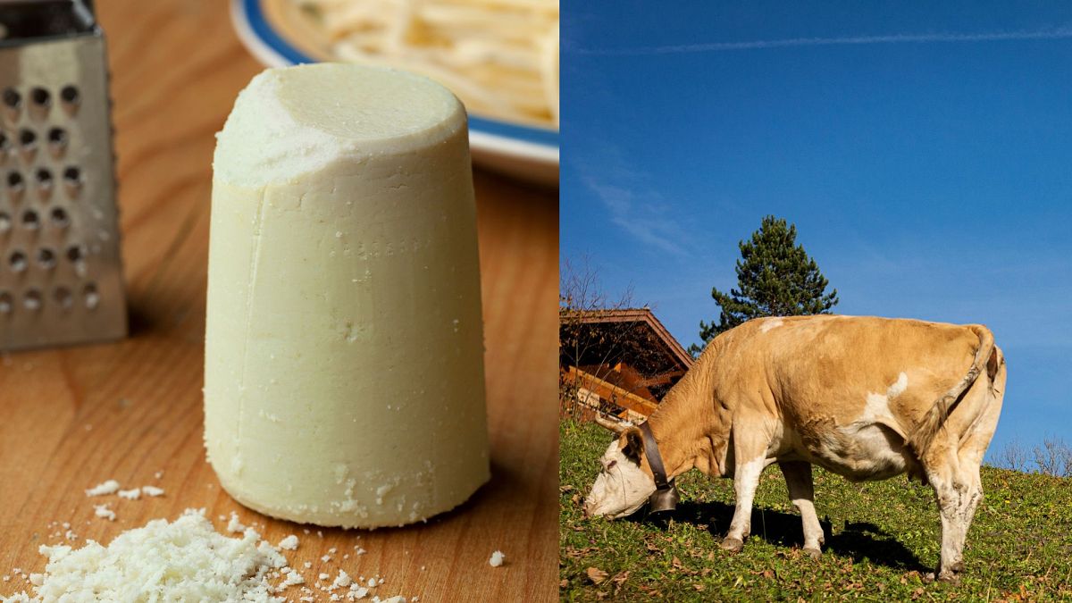 How far would you travel for cheese? Discover Europe’s best-kept cheese ...