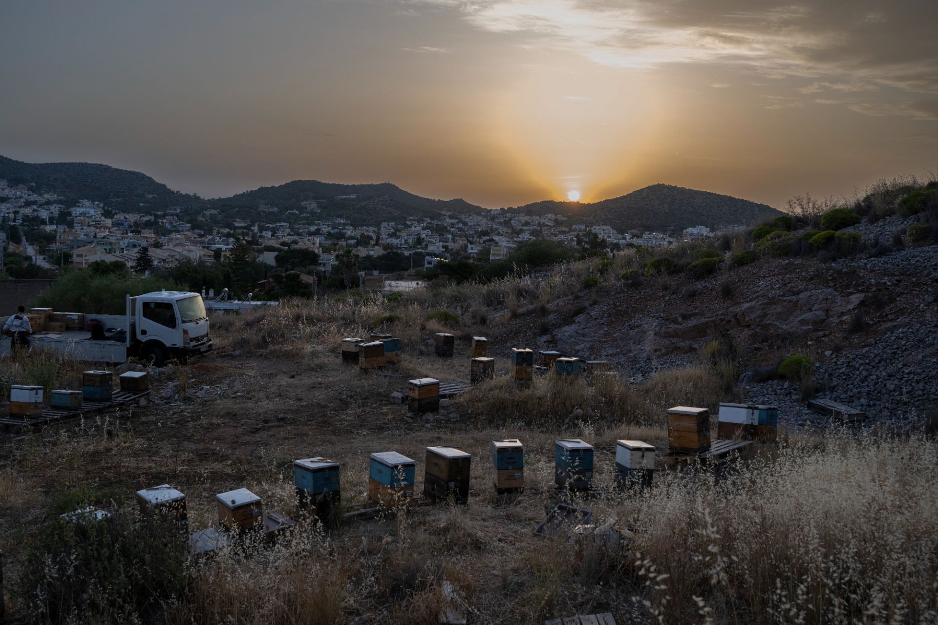 Athens embraces urban beekeeping as rooftop hives bring honey ...